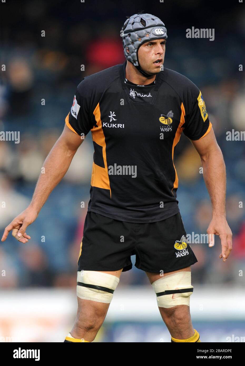 Marco Wentzel, London Wasps Stock Photo - Alamy