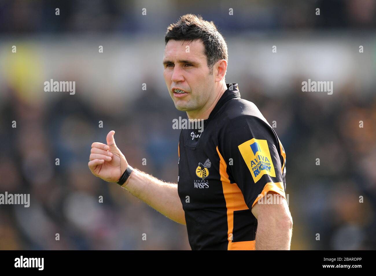 Stephen jones rugby hi-res stock photography and images - Alamy
