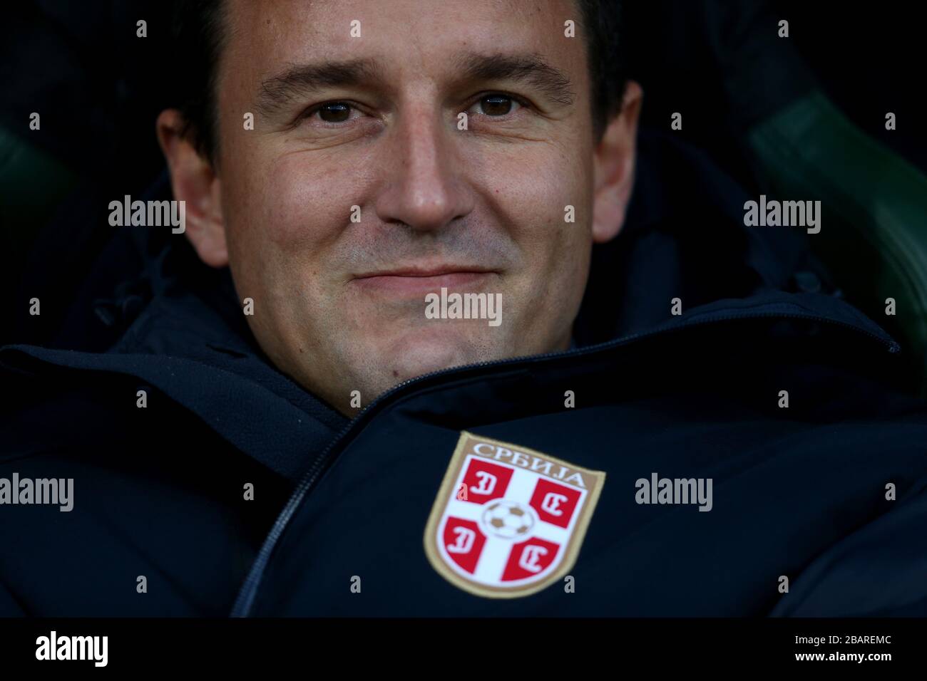 Serbia's manager Aleksandar Jankovic on the touchline Stock Photo - Alamy