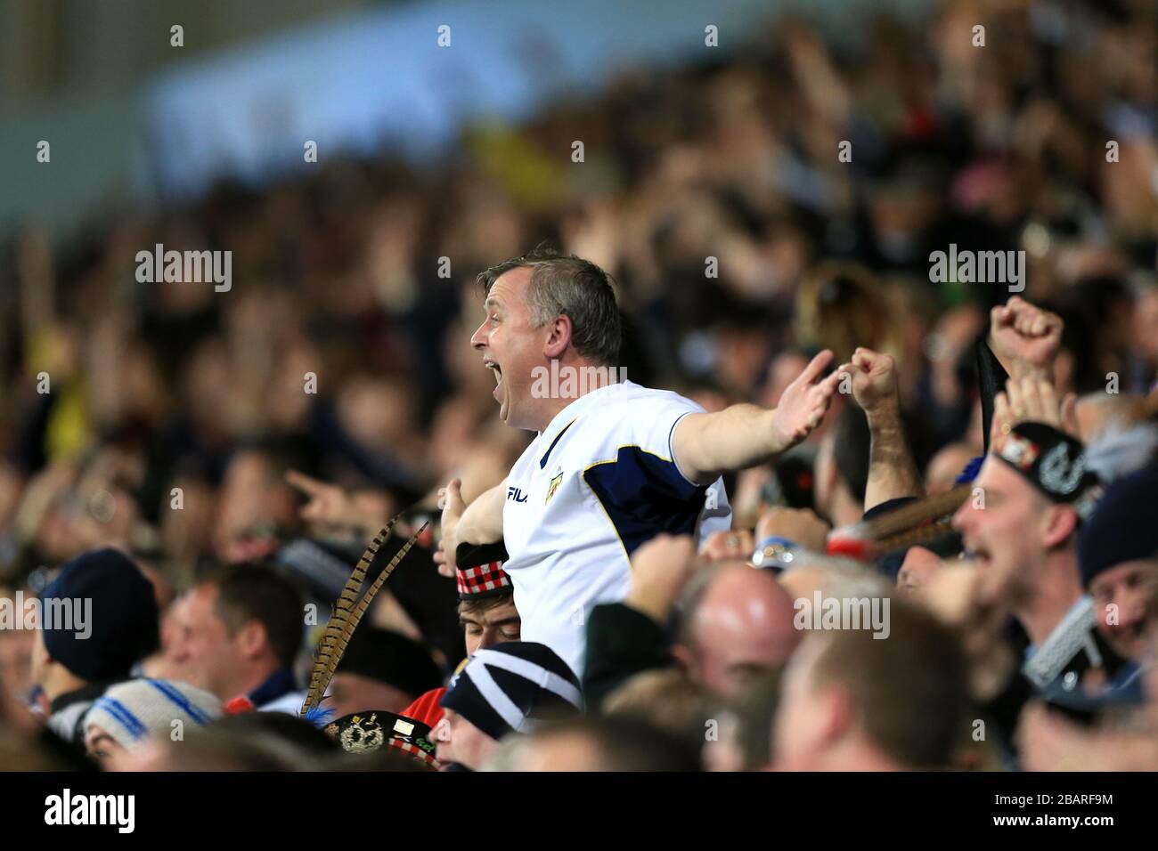 Scotland fans cheer on their side in the stands Stock Photo - Alamy