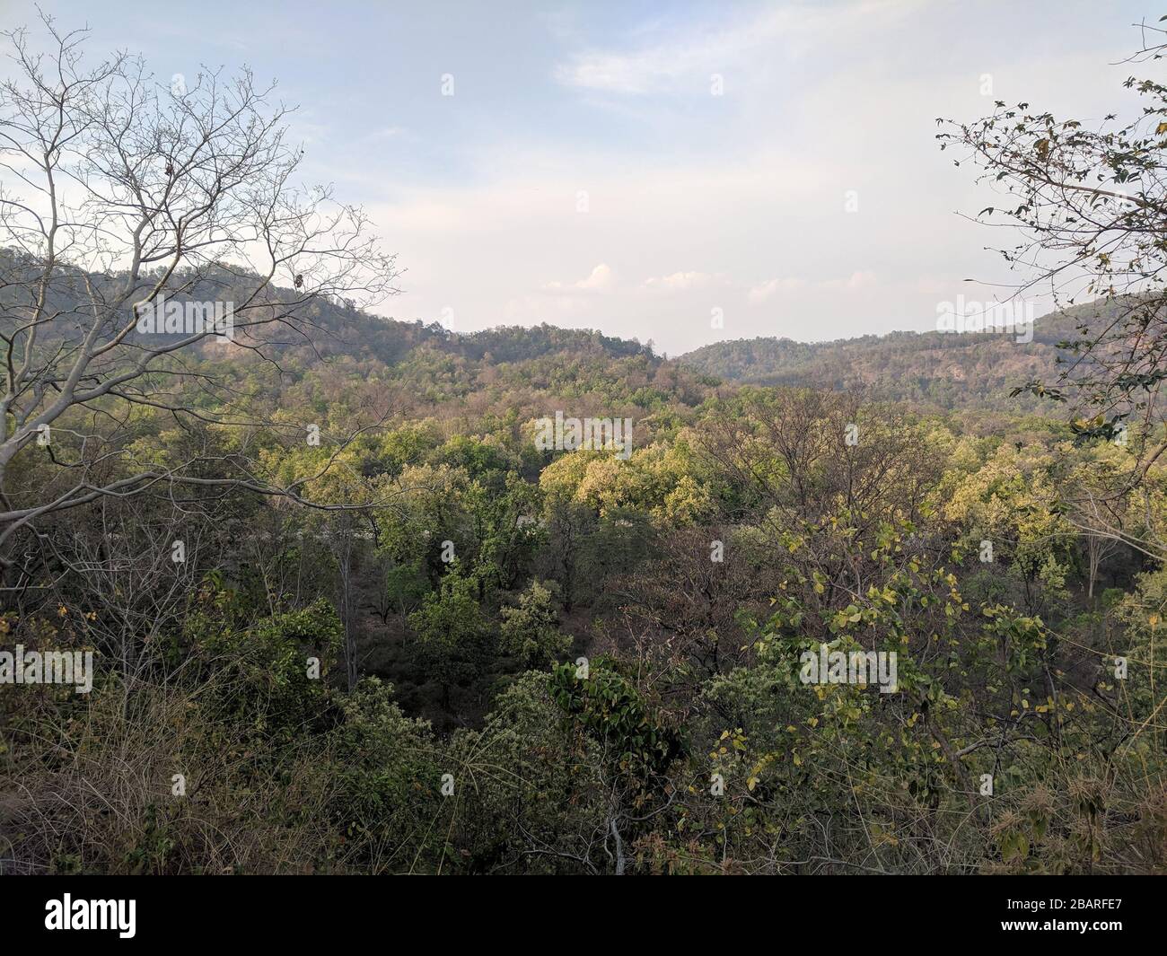 Bijrani Forest Landscape at Jim Corbett National Park, Uttarakhand ...