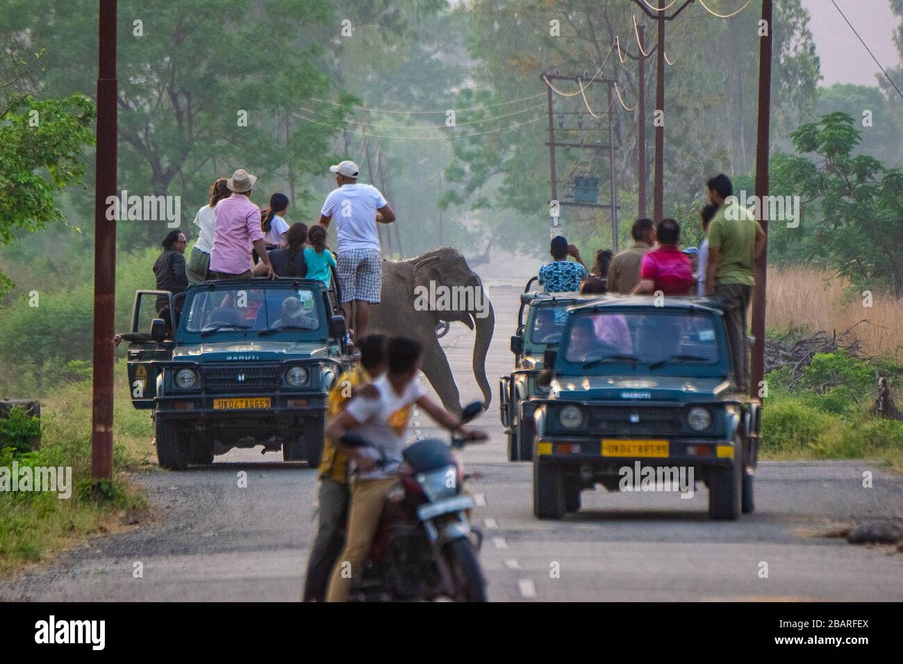 Jim corbett national park hi-res stock photography and images - Alamy