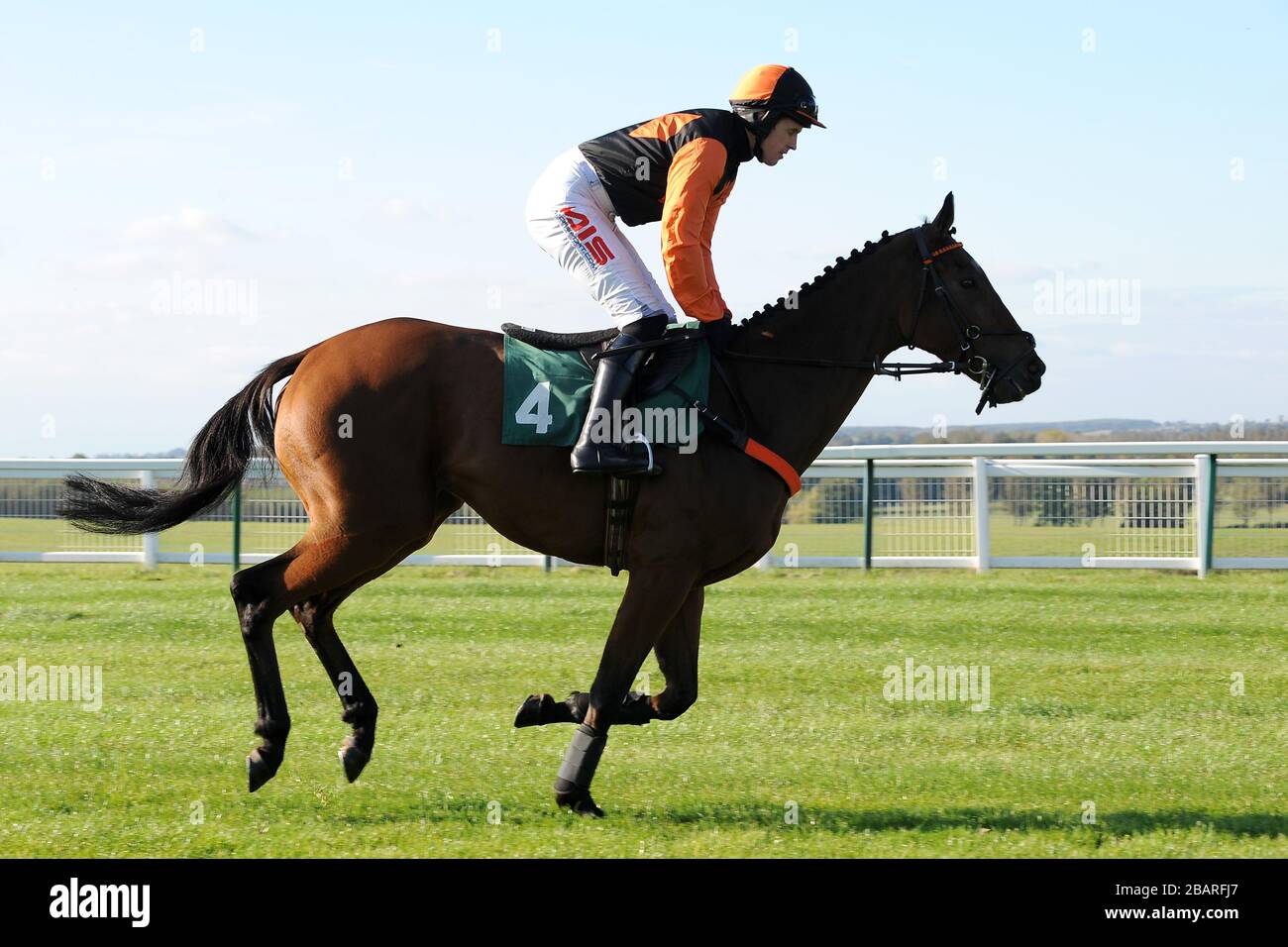 Rampant horse hi-res stock photography and images - Alamy