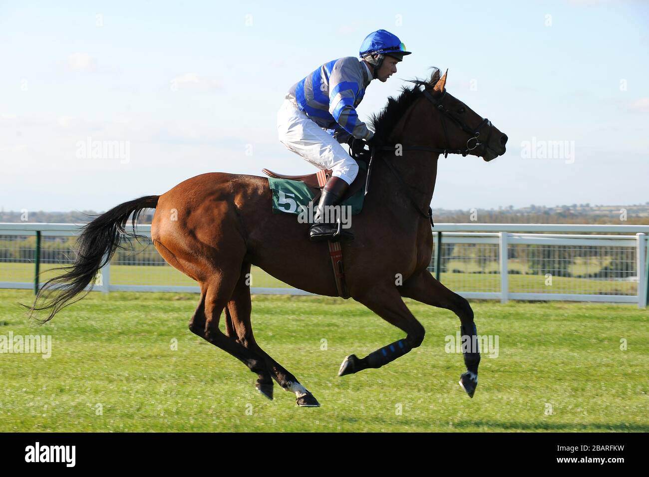 Hunt stevenson hi-res stock photography and images - Alamy