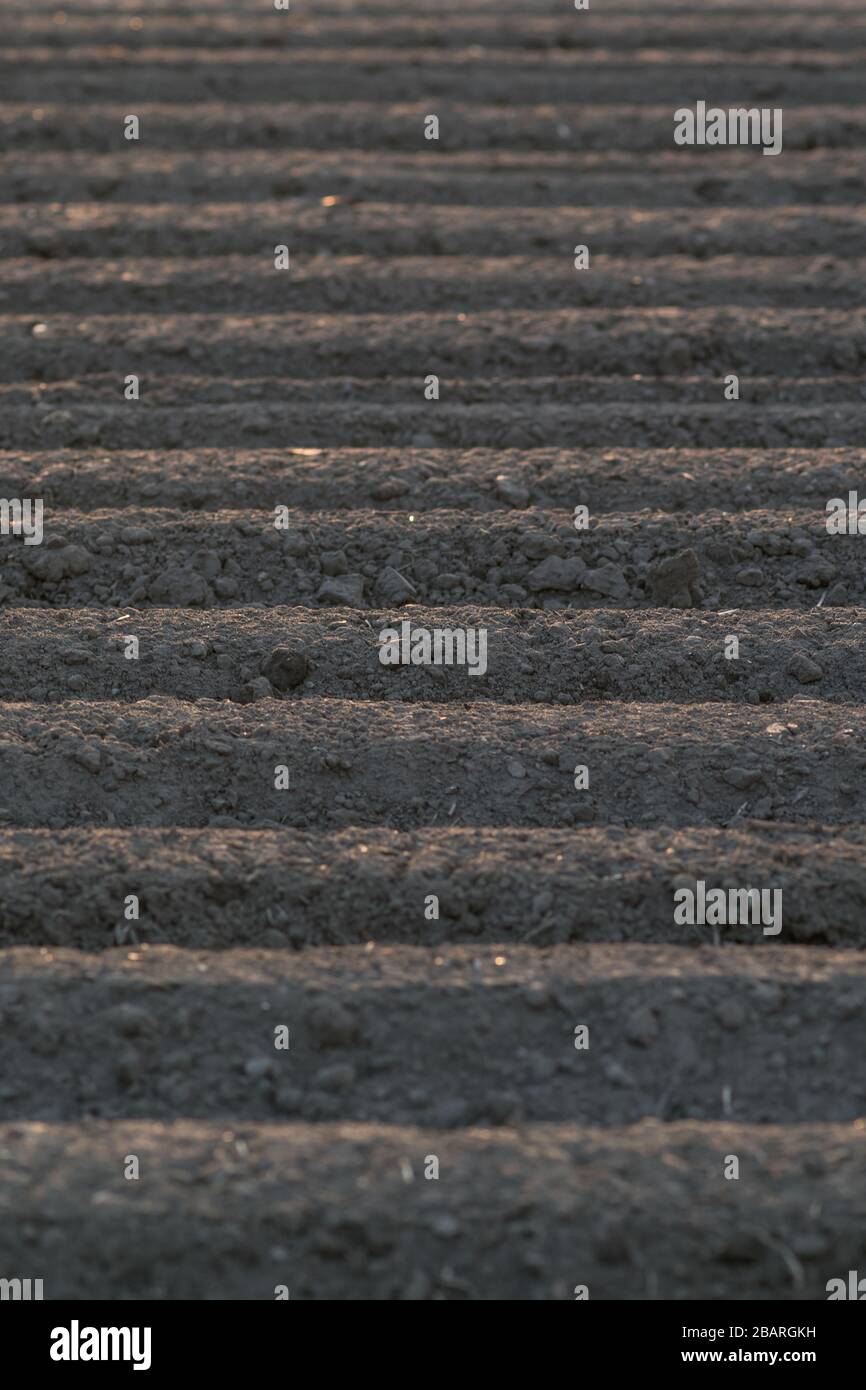 Raked soil hi-res stock photography and images - Alamy