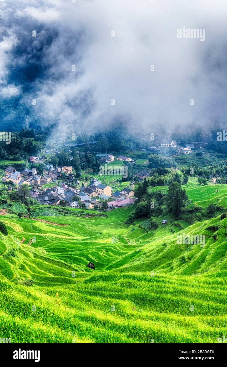 Hanging rice hi-res stock photography and images - Alamy