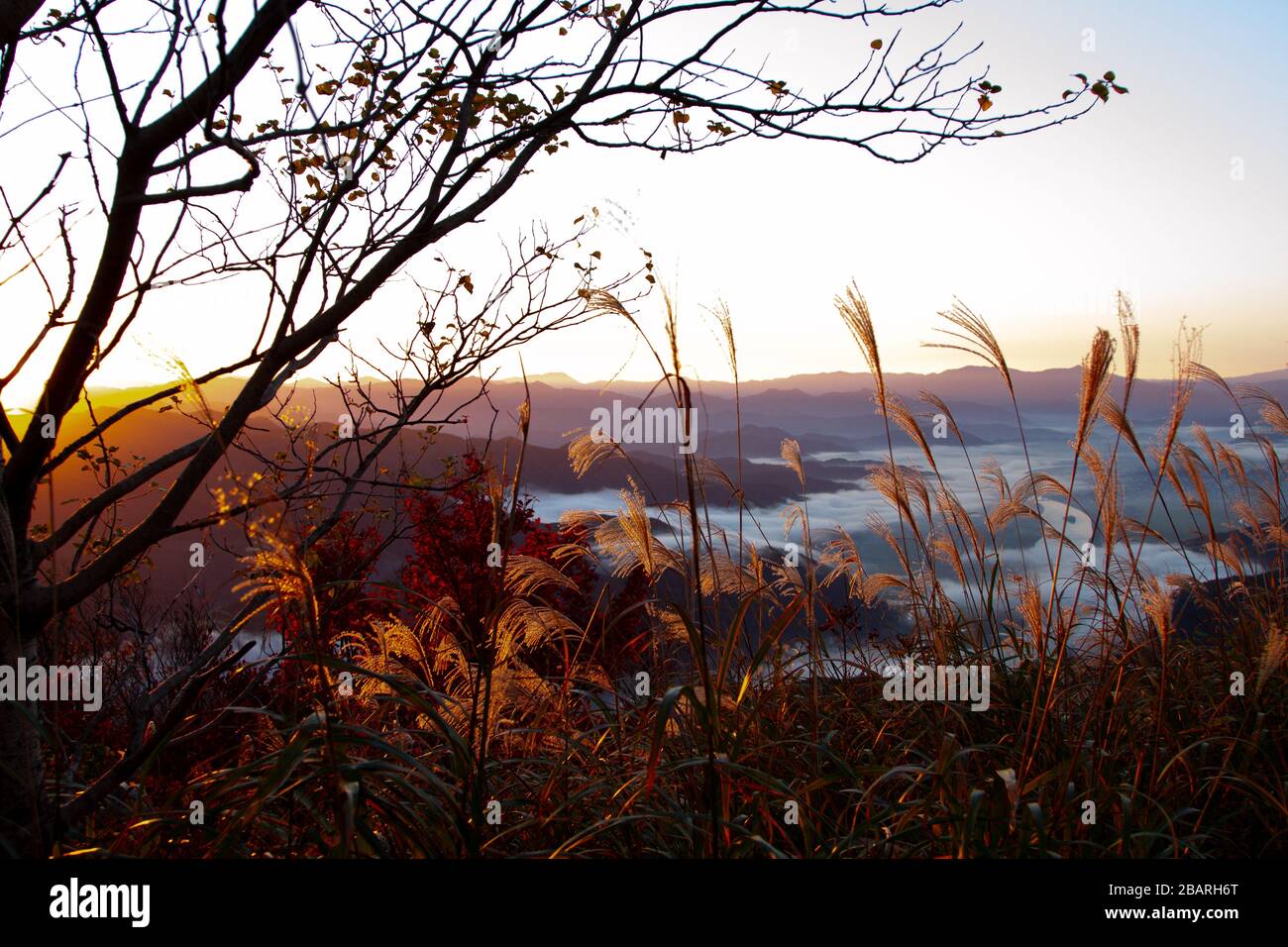 Misty morning sunrise over the bay and city of Toyooka (Toyooka-shi) is ...