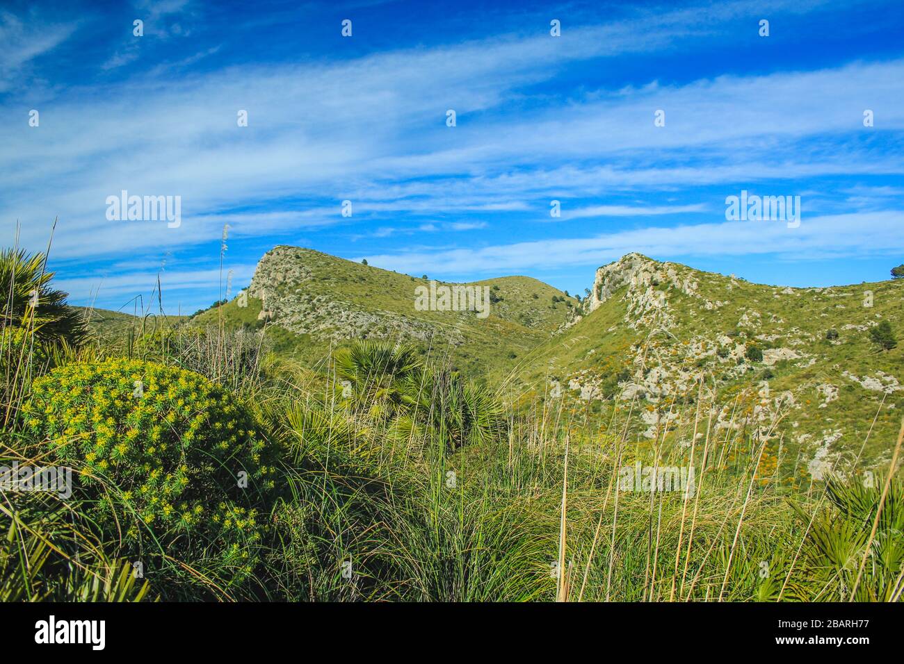 View over Parc natural de la peninsula de Llevant on the island of ...