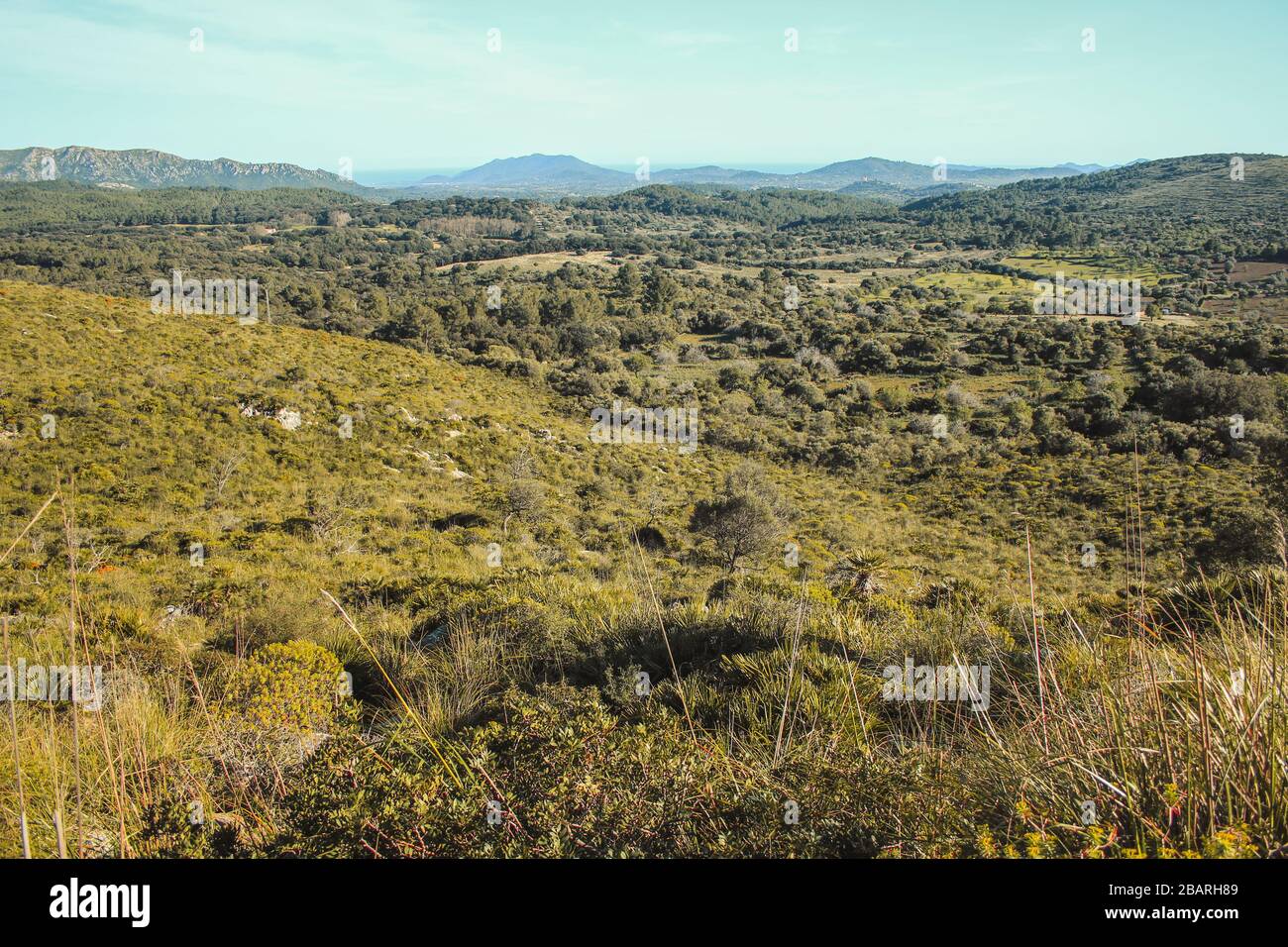 View over Parc natural de la peninsula de Llevant on the island of ...