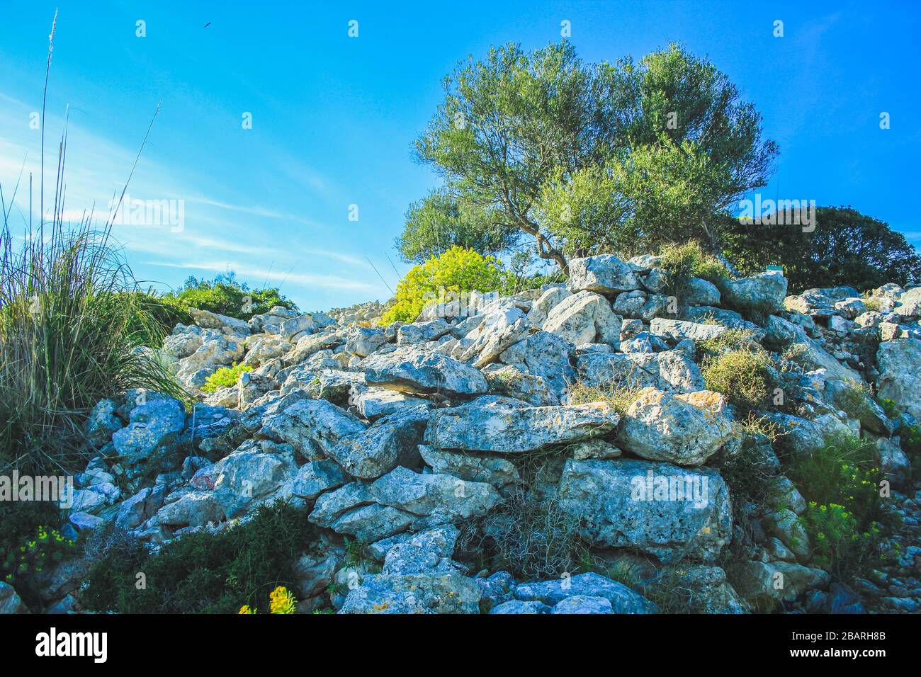 Rocky hill at Parc natural de la peninsula de Llevant on the island of ...
