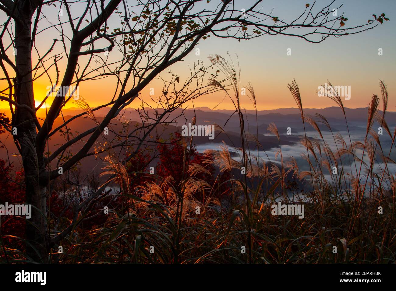 Toyooka and onsen hi-res stock photography and images - Alamy