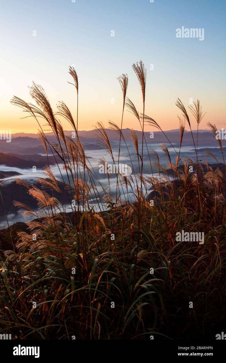 Misty morning sunrise over the bay and city of Toyooka (Toyooka-shi) is ...