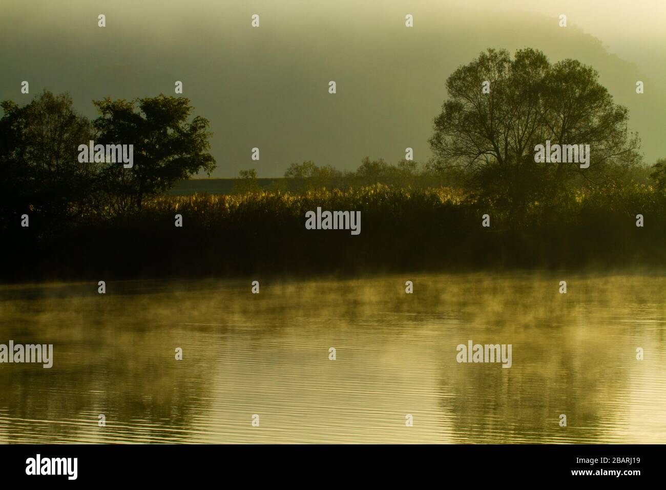 Misty morning sunrise over the bay and city of Toyooka (Toyooka-shi) is ...