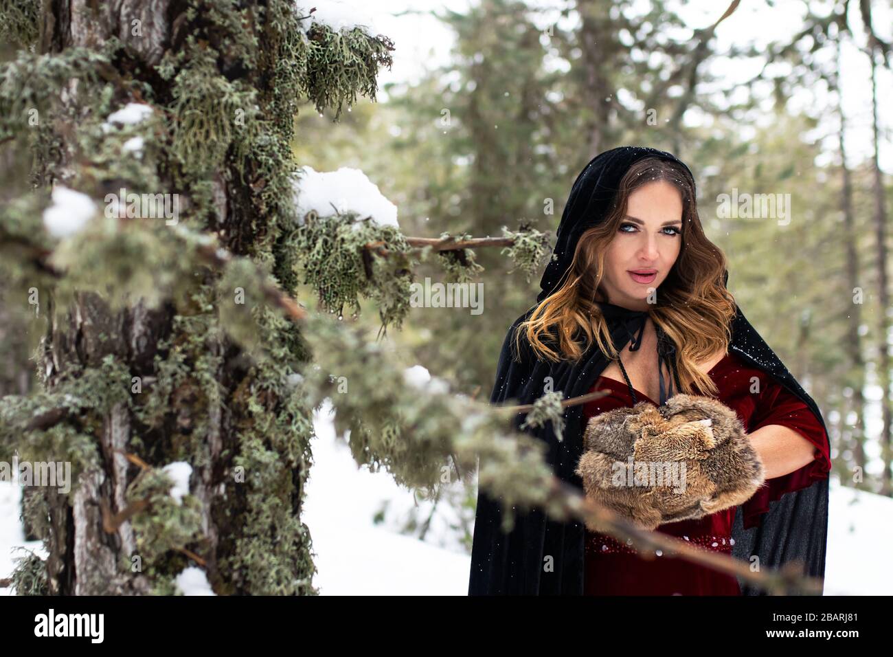 Cosplay model portrait in a winter forest. Snow white, red riding hood ...
