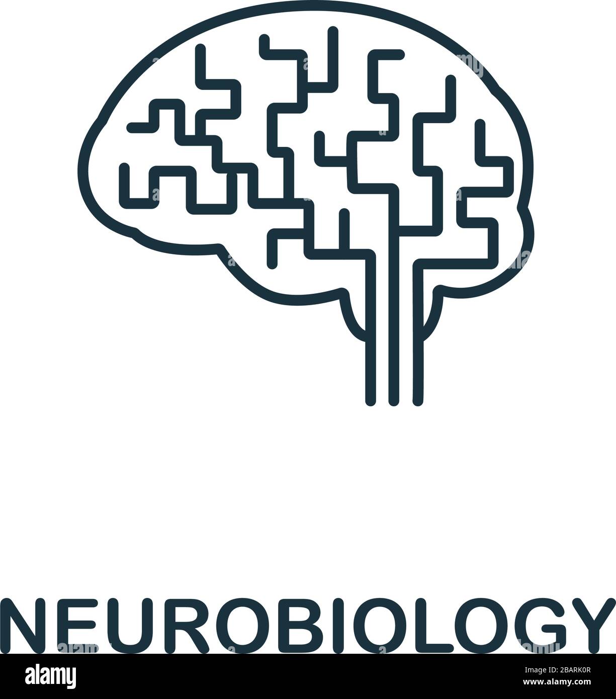 Neurobiology icon from science collection. Simple line element ...
