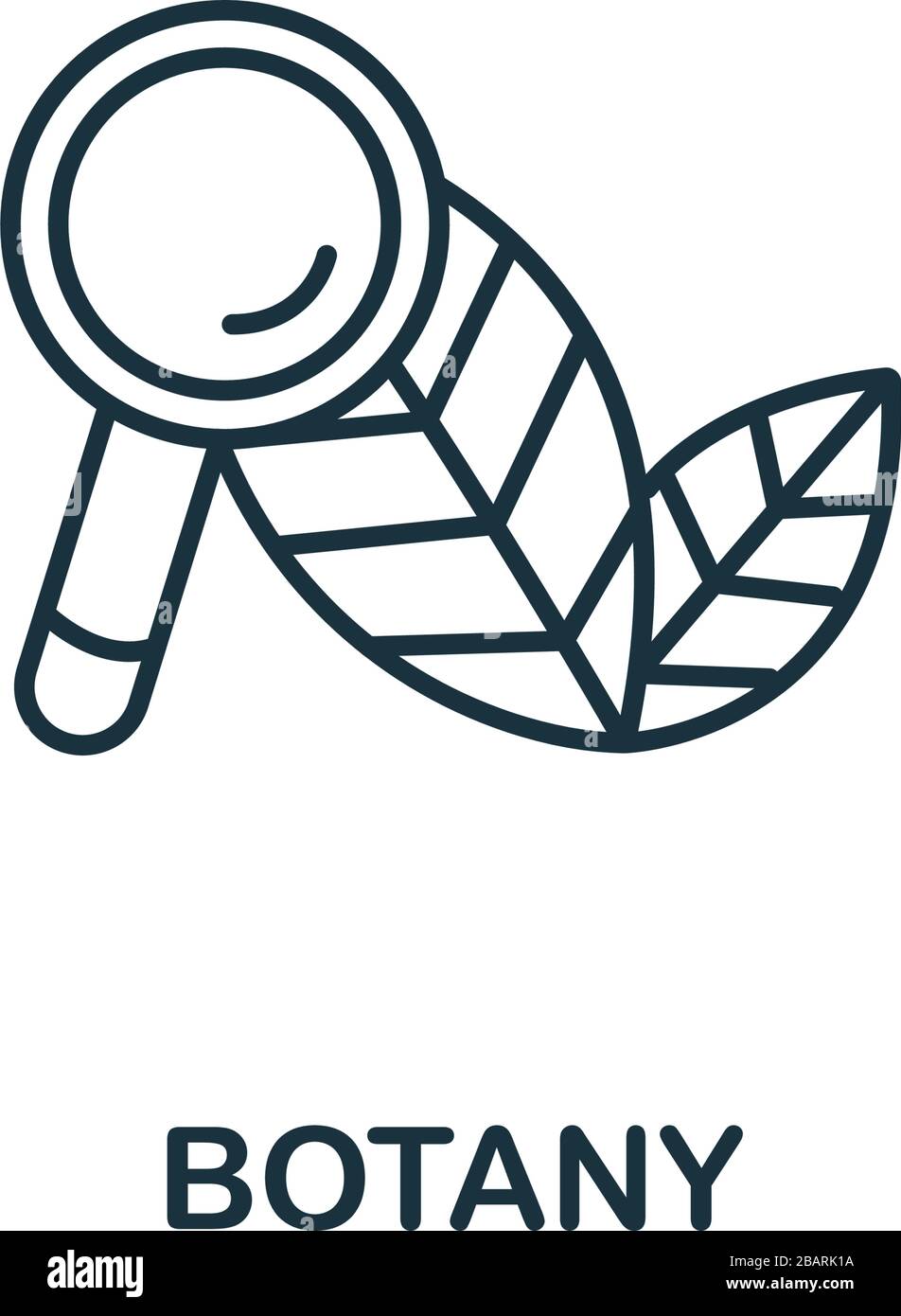 Botany icon from science collection. Simple line element Botany symbol ...