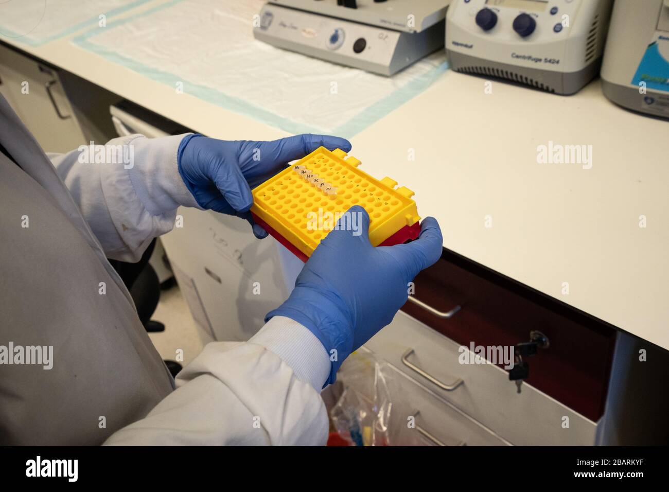 Virus and germ testing laboratory Stock Photo - Alamy