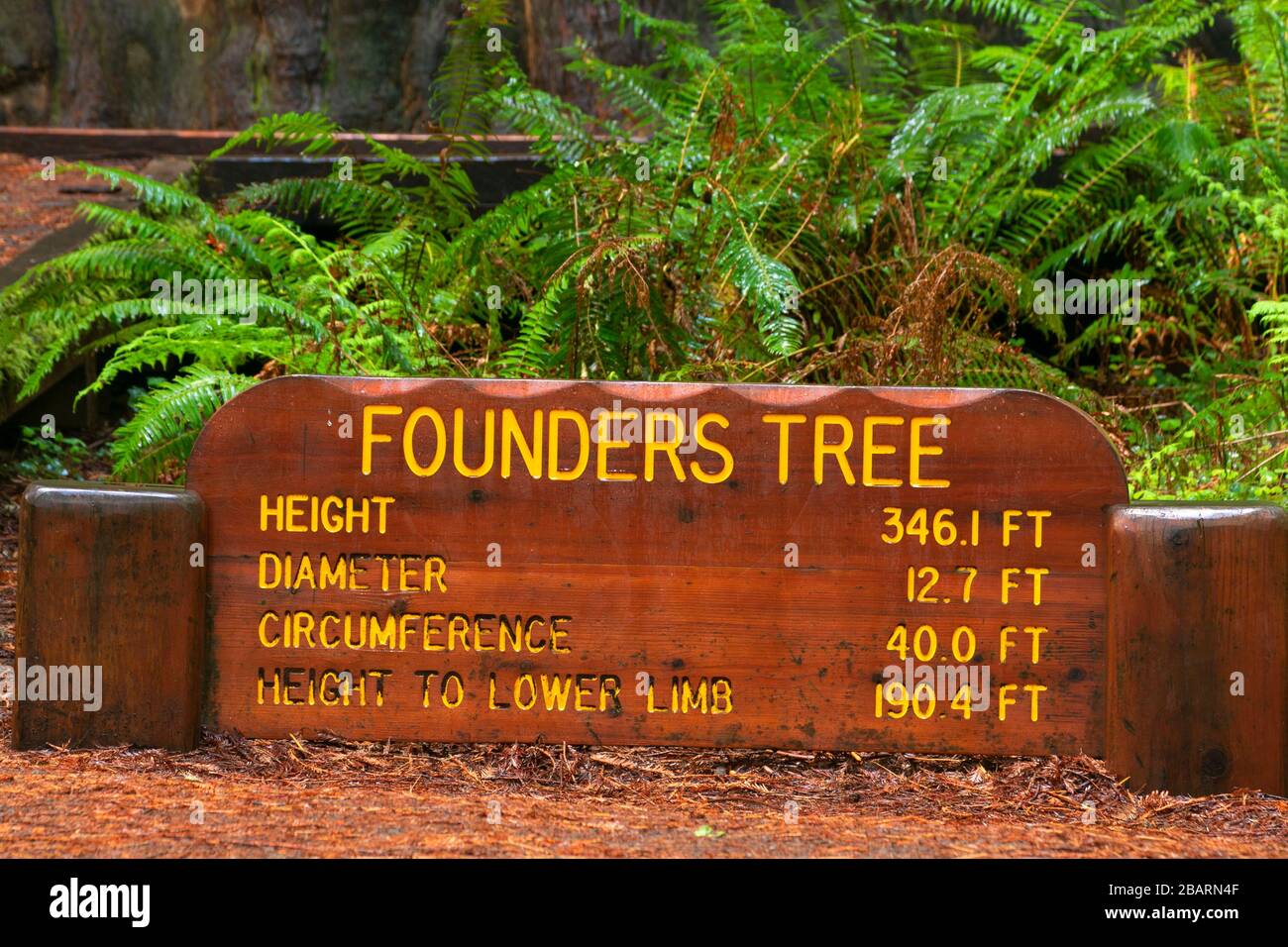 Founders Tree sign, Humboldt Redwoods State Park, California Stock ...