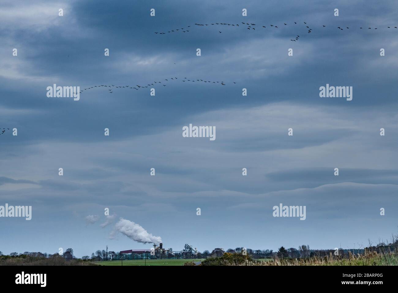 Heavy industry in the Scottish Highlands at the Norbord wood factory ...