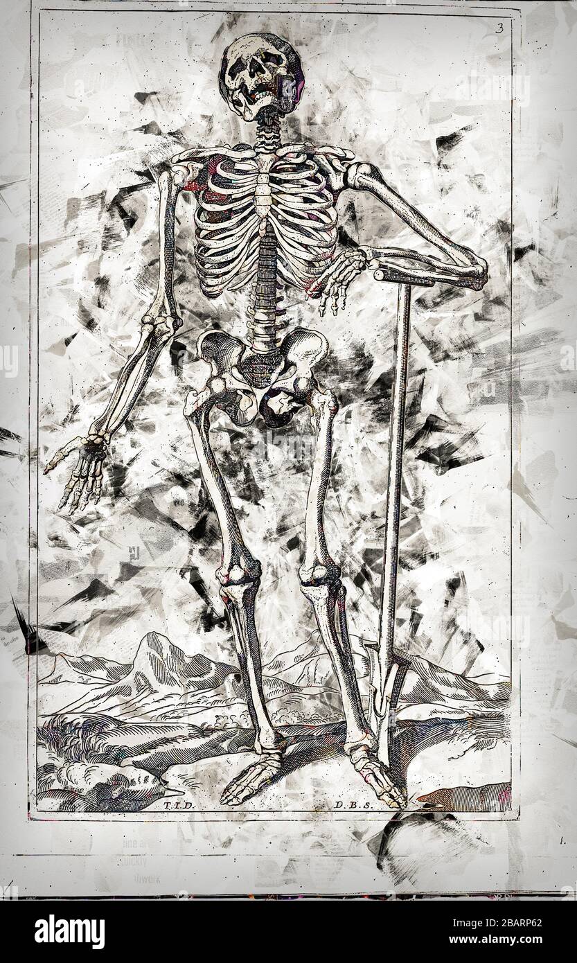 Digitally enhanced image of a Male full body front skeleton woodcut ...