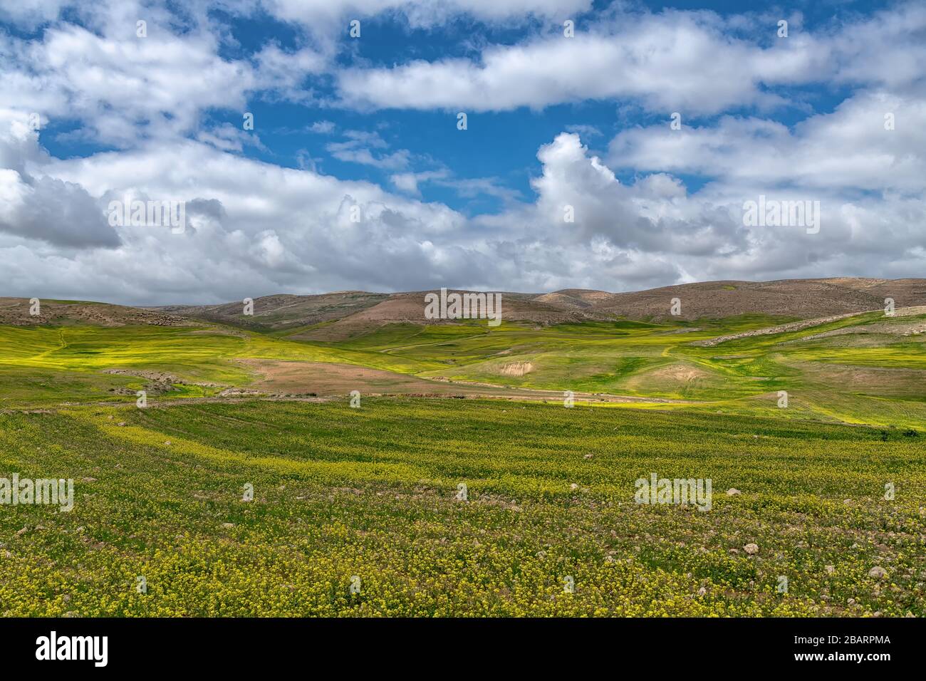 Desert Farming Israel High Resolution Stock Photography and Images - Alamy