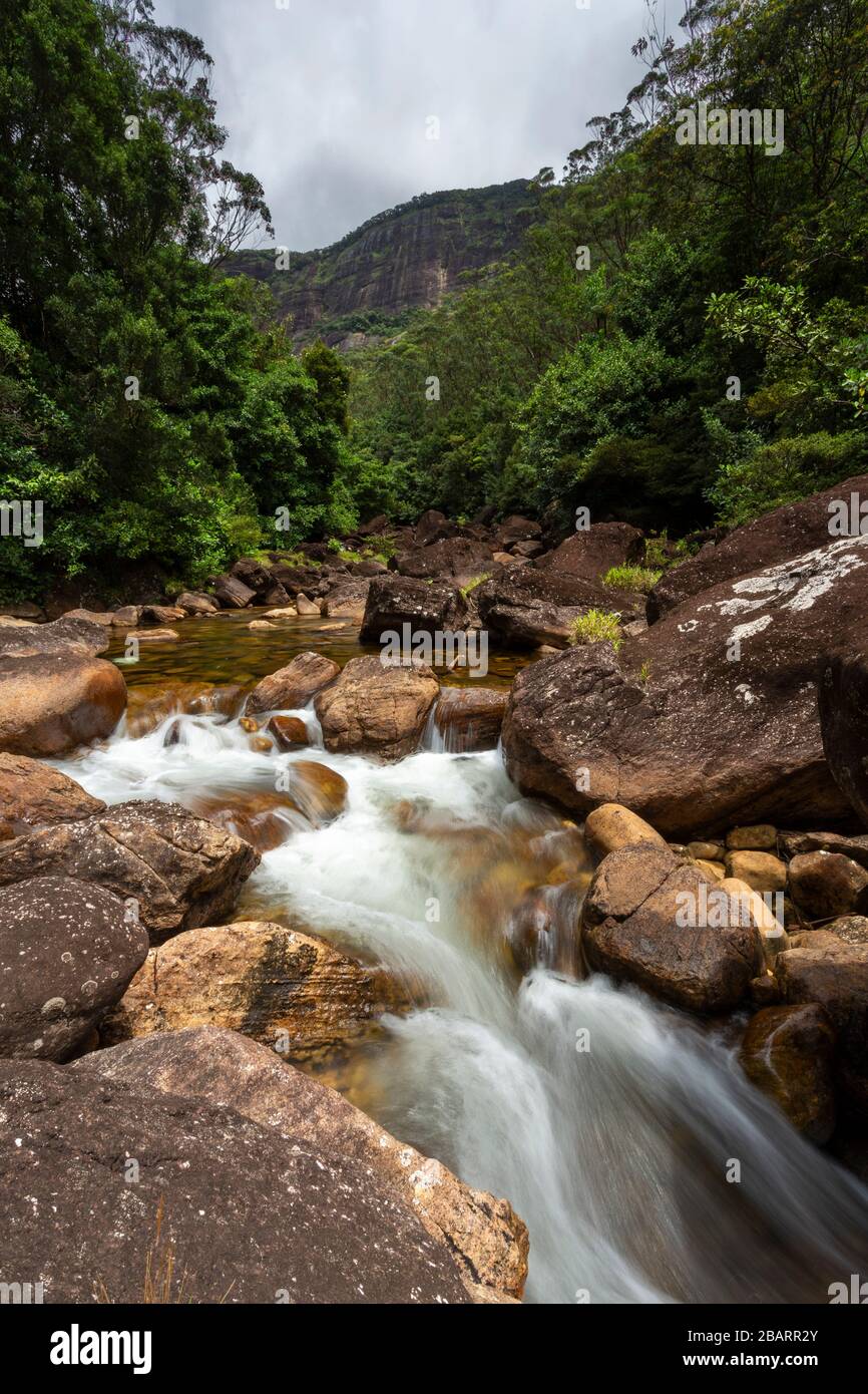 The Seetha Gangula river at Dalhousie in the hill country of Sri Lanka ...