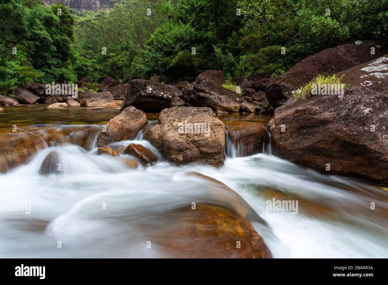 The Seetha Gangula river at Dalhousie in the hill country of Sri Lanka ...