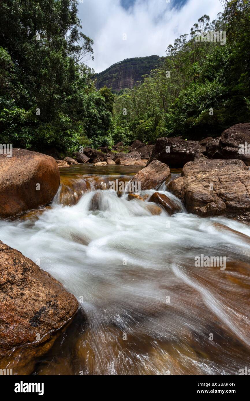 The Seetha Gangula river at Dalhousie in the hill country of Sri Lanka ...
