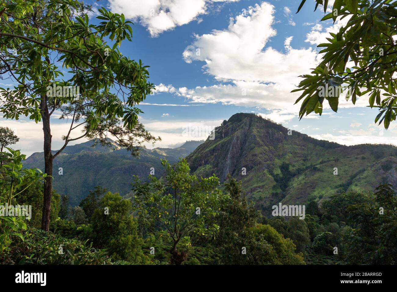 Mountain view of Ella Rock from the walk up Little Adam's Peak at Ella ...