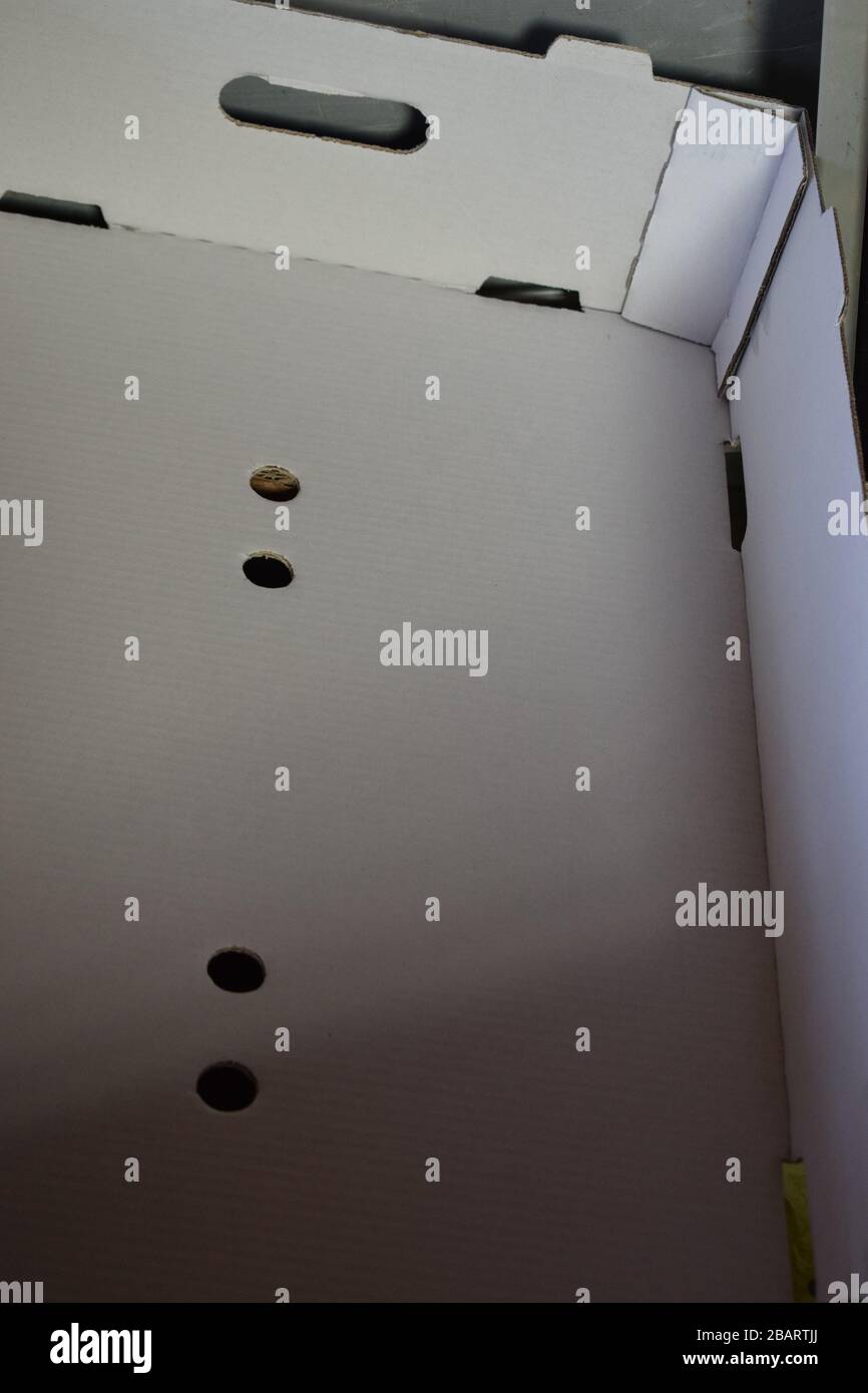 empty carton box Stock Photo - Alamy