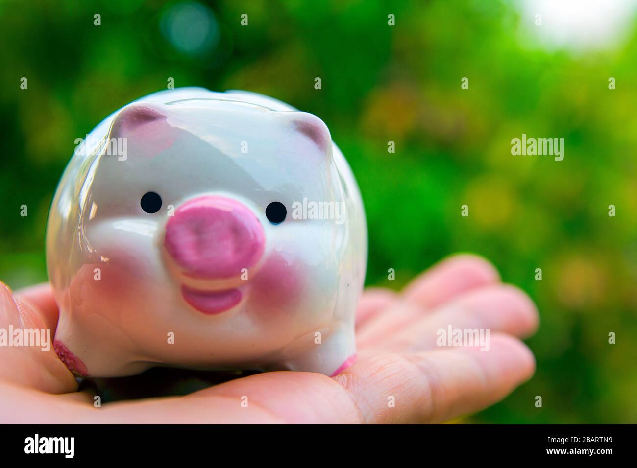 piggy save money concept, piggy bank on nature background Stock Photo ...