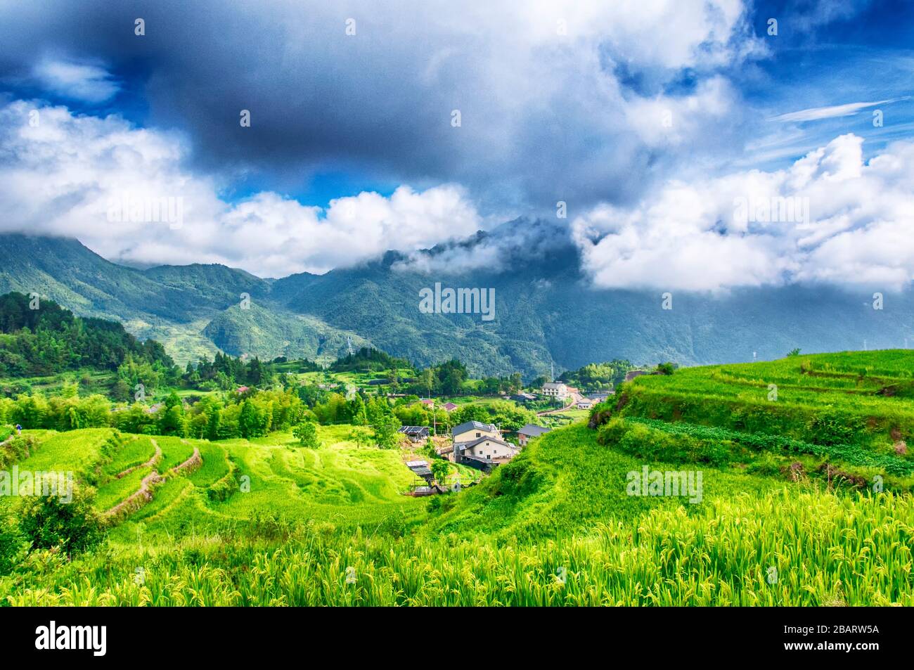 Zhejiang Landscape