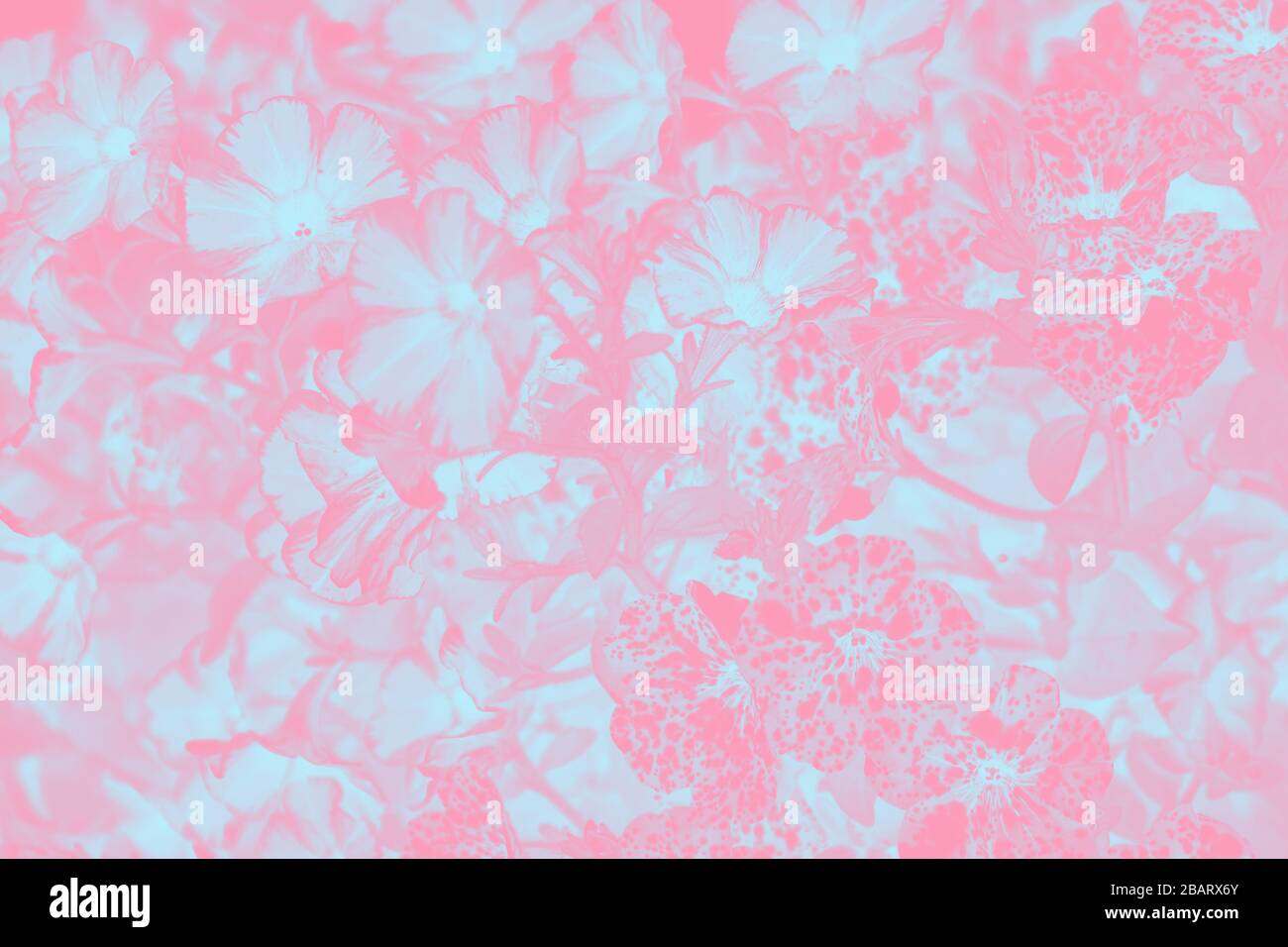 Pink watercolor gradient background, beautiful flower pattern Stock ...