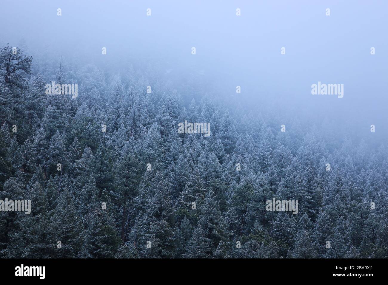 Extreme fog hi-res stock photography and images - Alamy