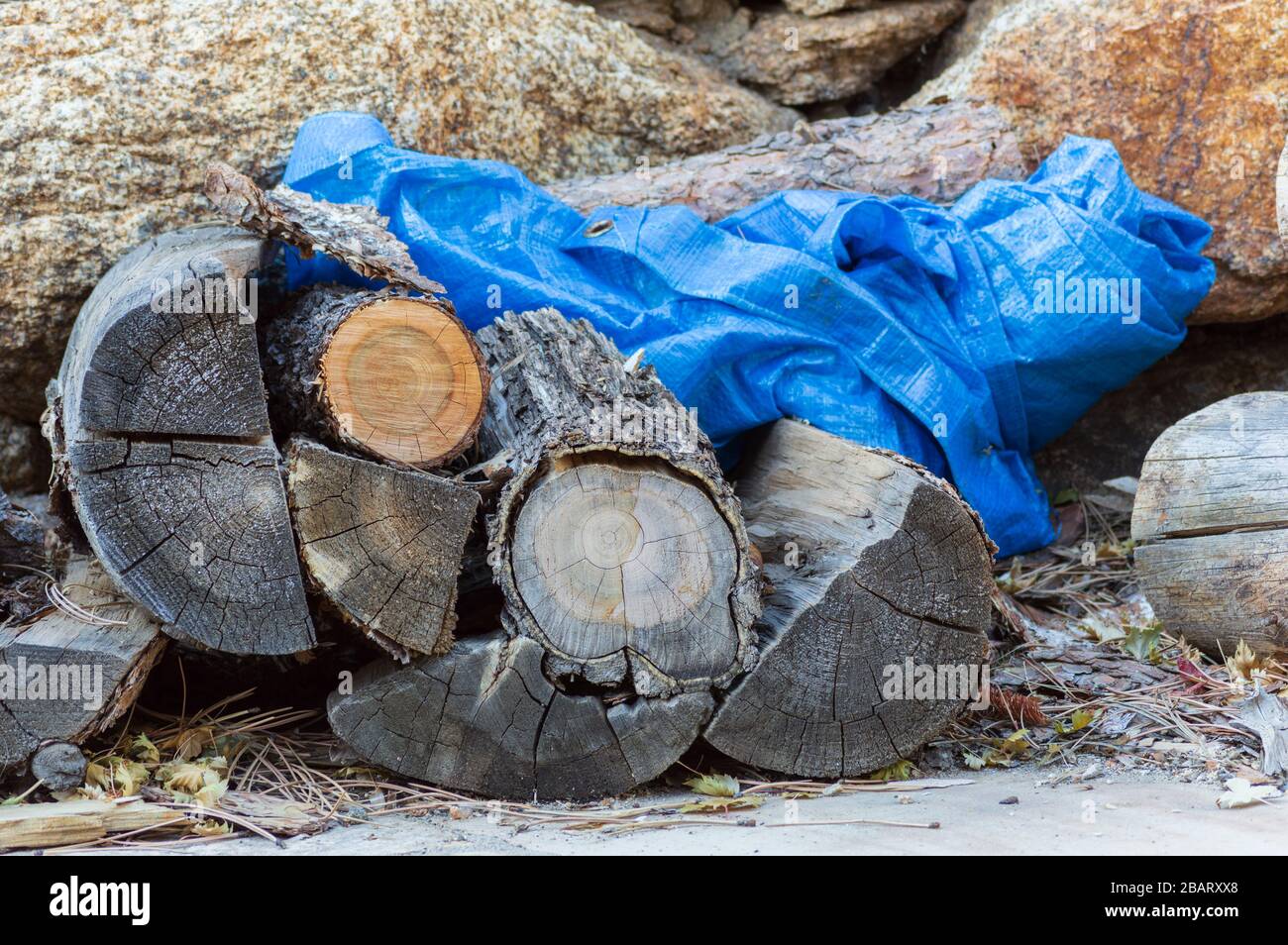 Blue Tarp on an Outdoor Wood Pile with Rock Wall in Background Stock ...