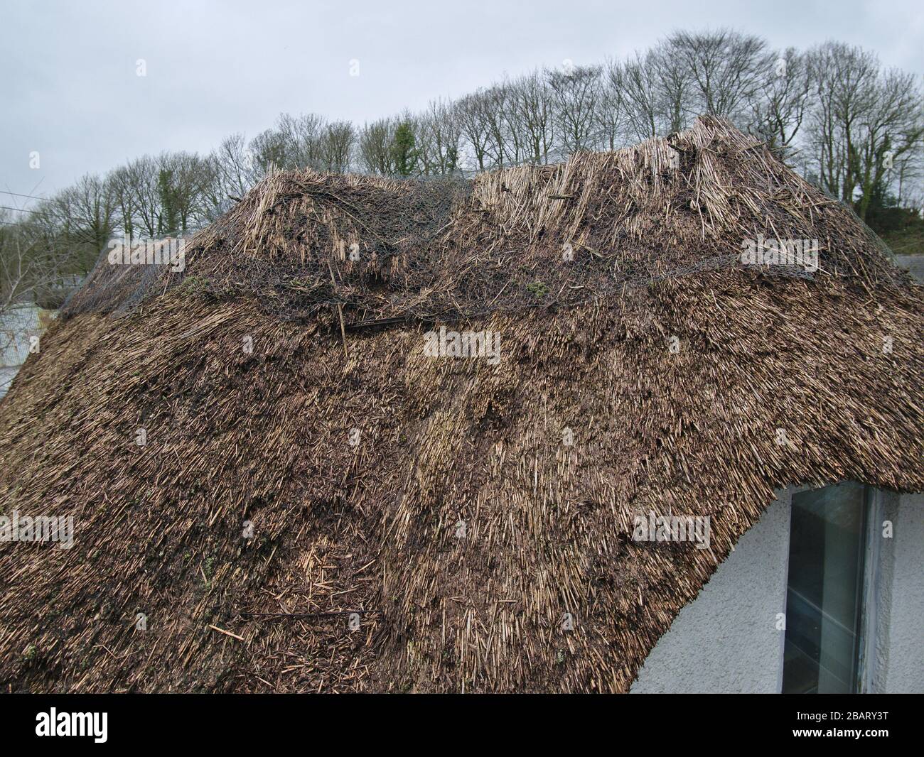 Thatch repair hi-res stock photography and images - Alamy