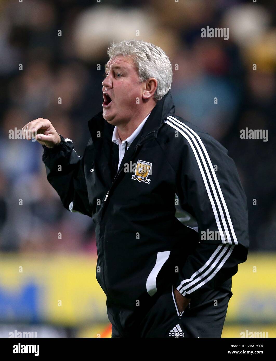 Steve Bruce, Hull City manager Stock Photo - Alamy