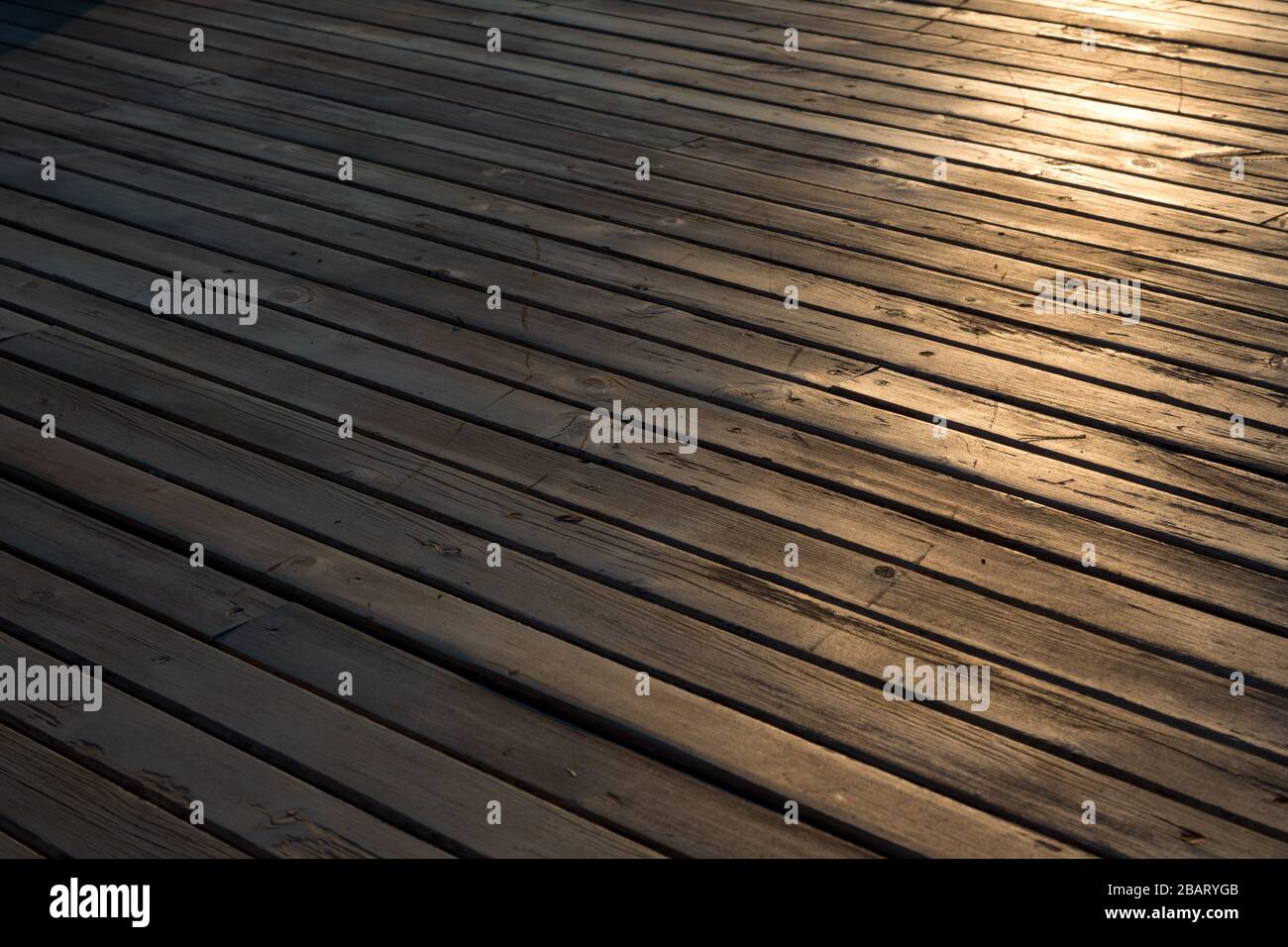 Greek sea life Stock Photo - Alamy