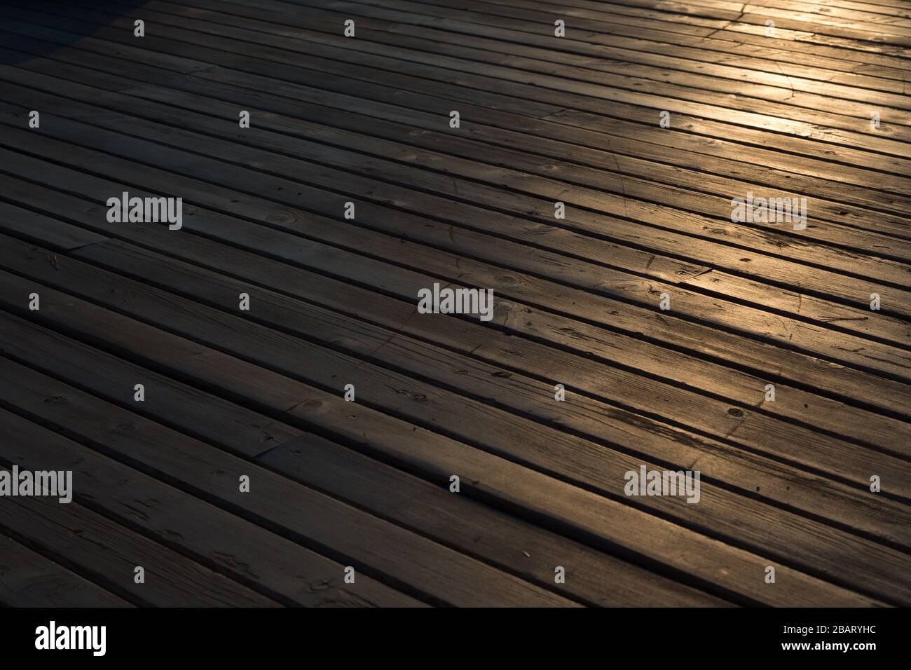 Greek sea life Stock Photo - Alamy