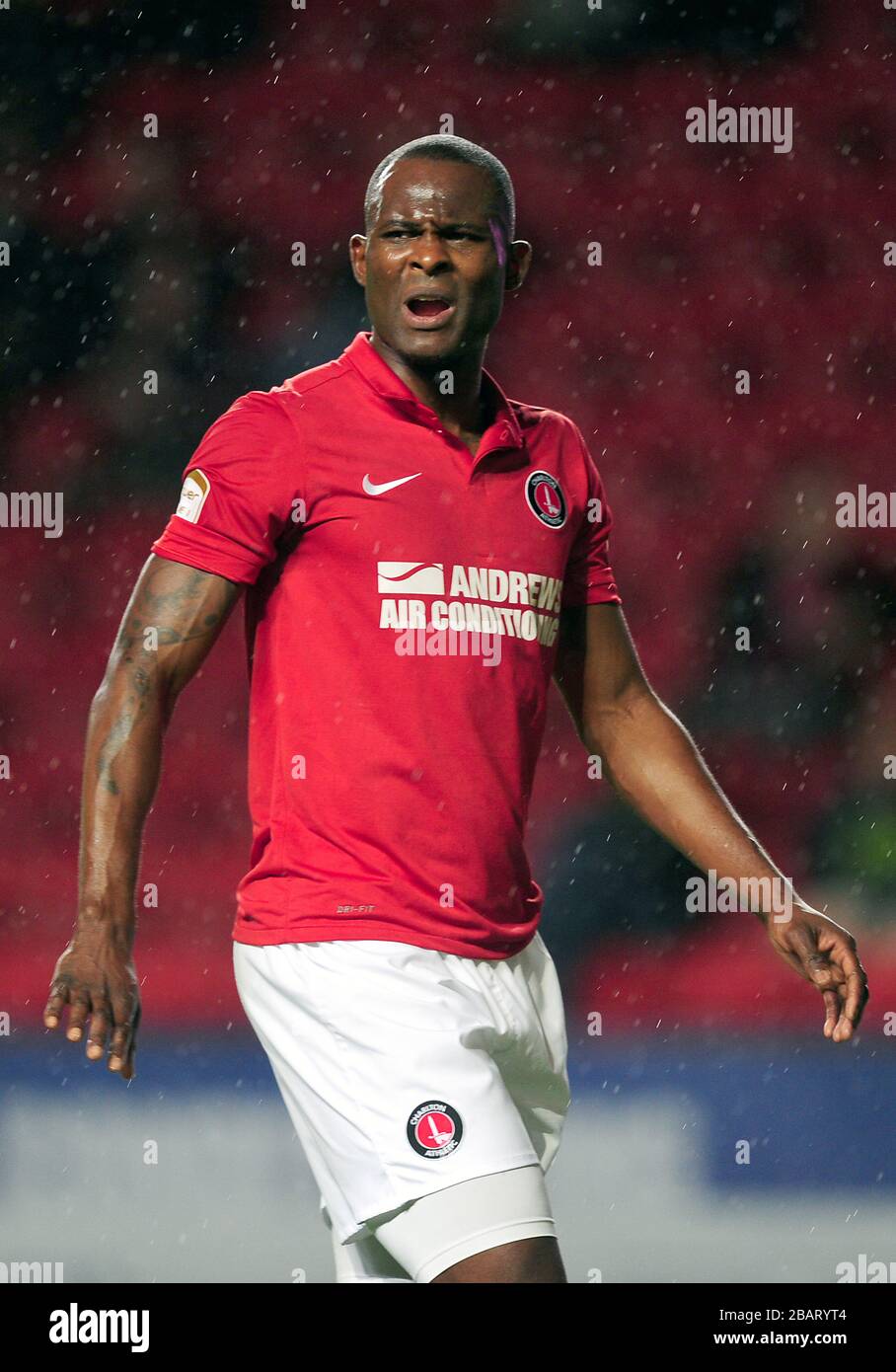 Leon cort hi-res stock photography and images - Alamy