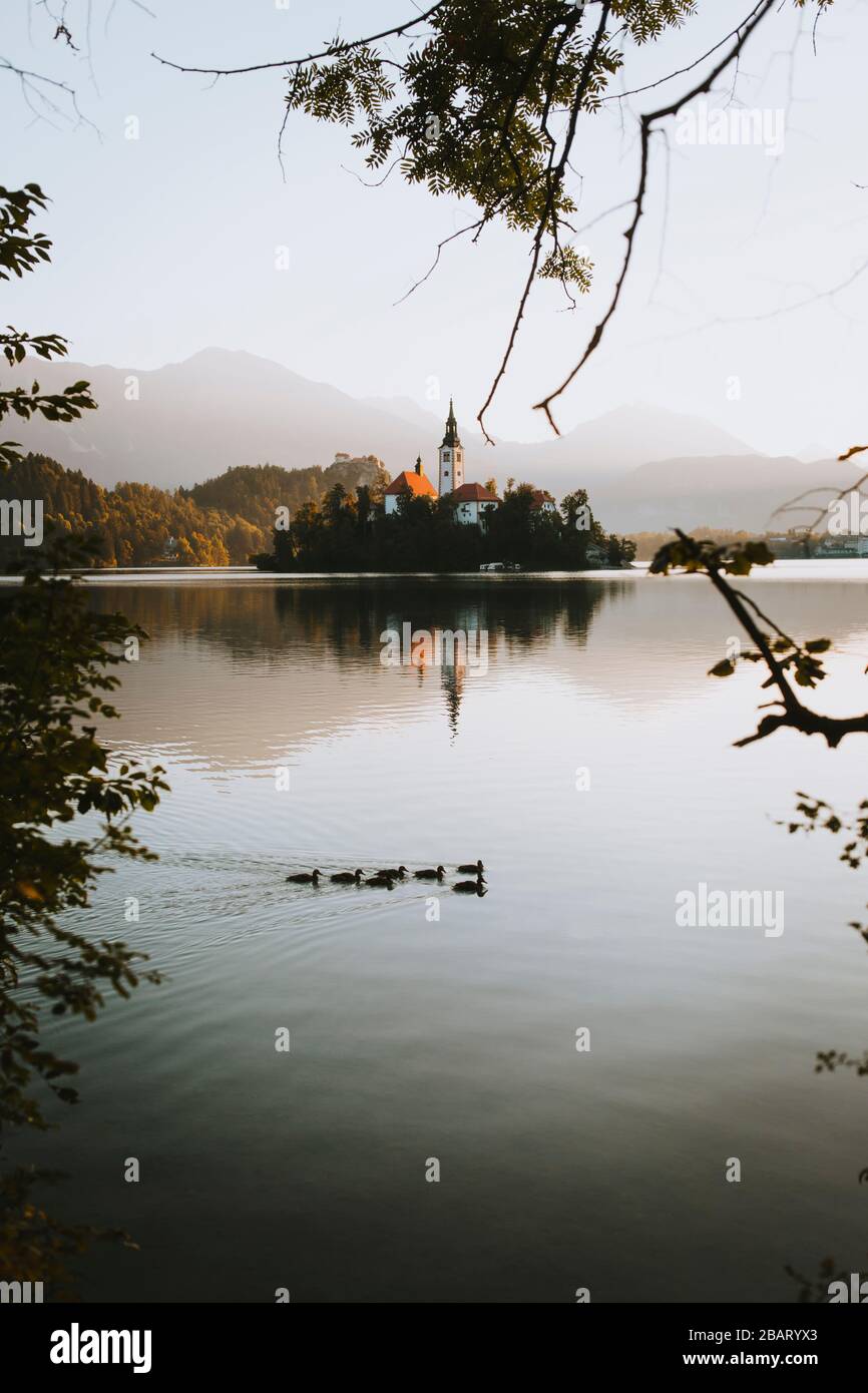 Magical Morning on Lake Bled Stock Photo - Alamy