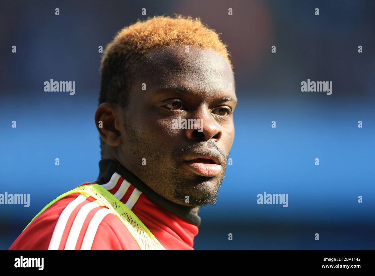 Louis Saha, Sunderland Stock Photo - Alamy