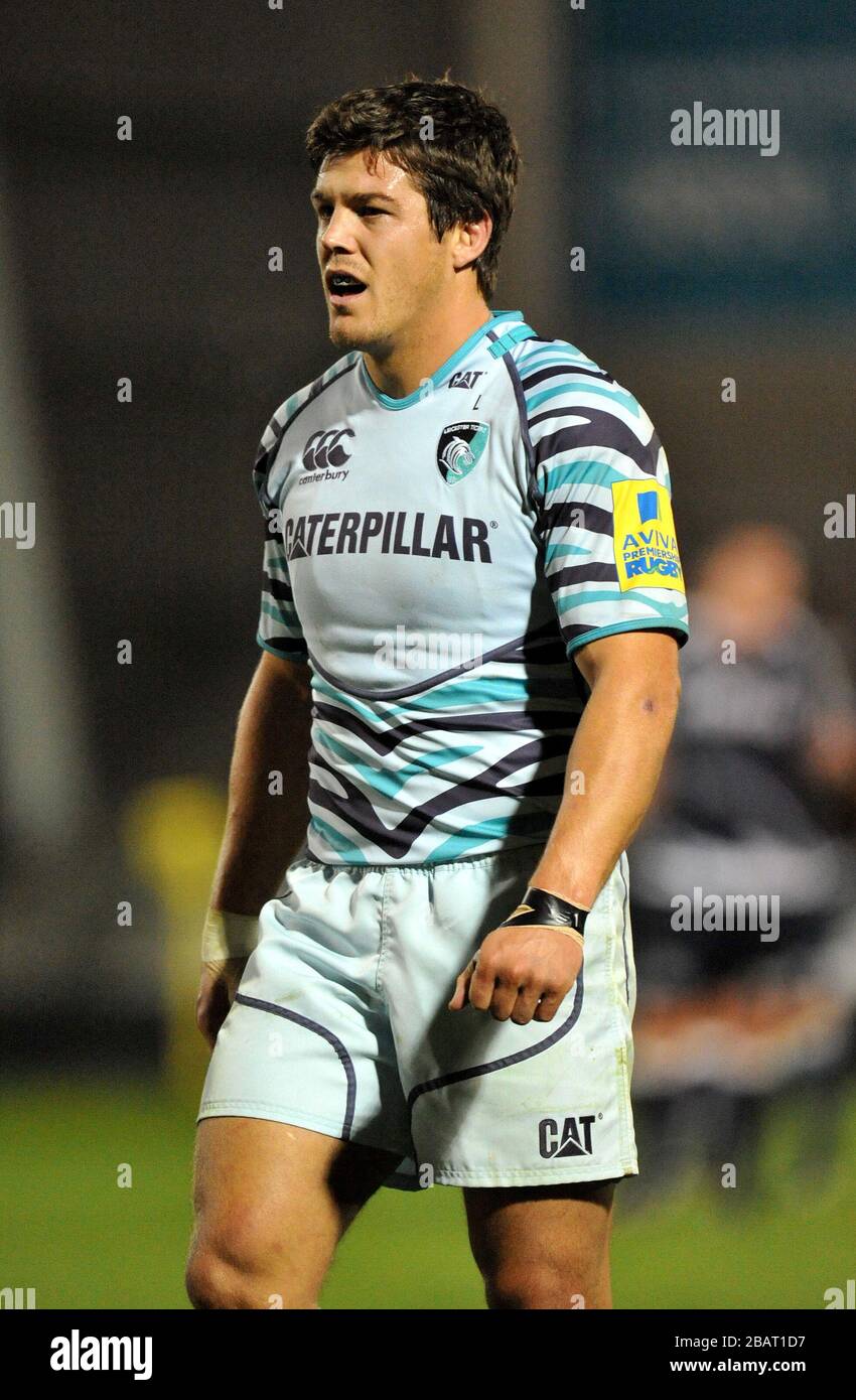 Tigers mid length half top hi-res stock photography and images - Alamy