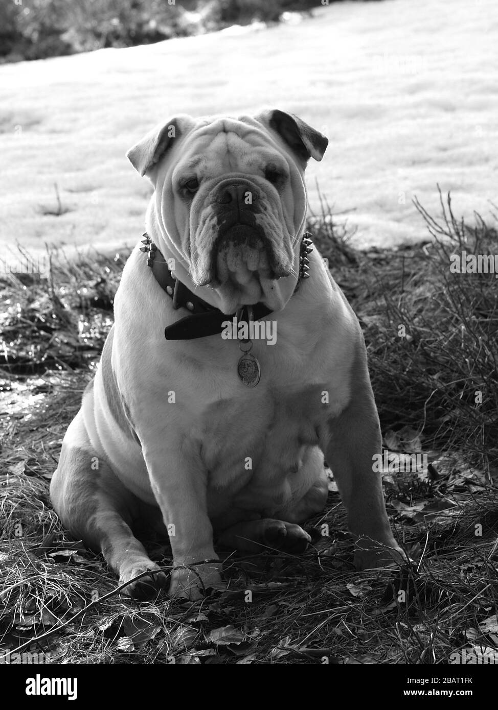 English man funny Black and White Stock Photos & Images - Alamy