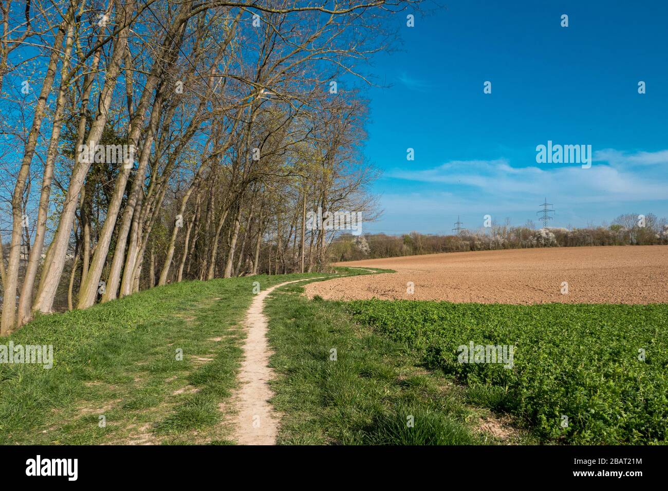 small hiking trail at the edge of the forest with blue sky and field ...