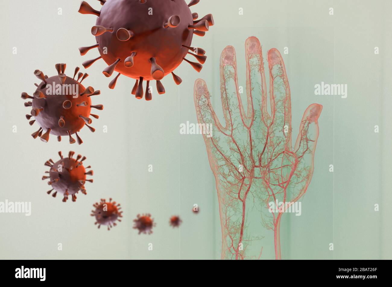 Corona virus attack concept with hand, arteries and rendered corona ...