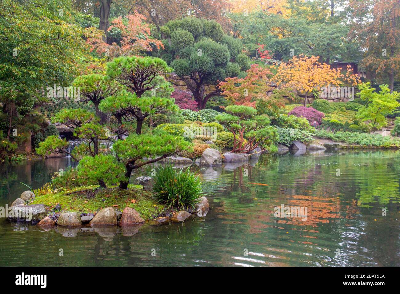 Beauty oin nature hi-res stock photography and images - Alamy
