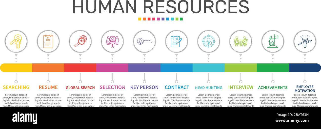 Human Resources Infographics vector design. Timeline concept include ...