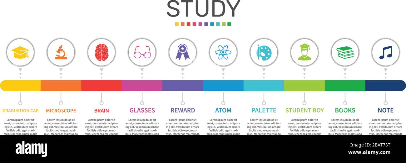 Study Infographics vector design. Timeline concept include graduation ...