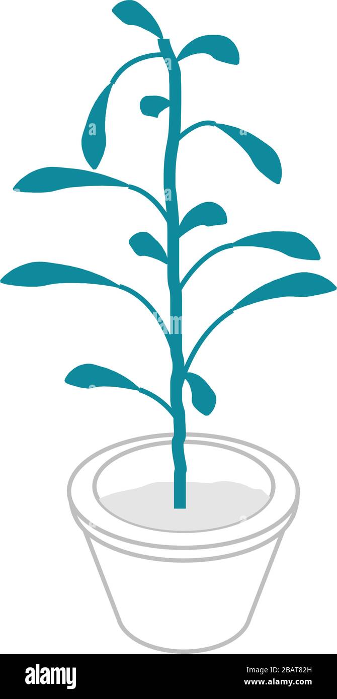 Flower plant isolated 3d Stock Vector Images - Alamy